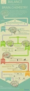 Neurotransmitters Balance Our Brain Chemistry Naturally